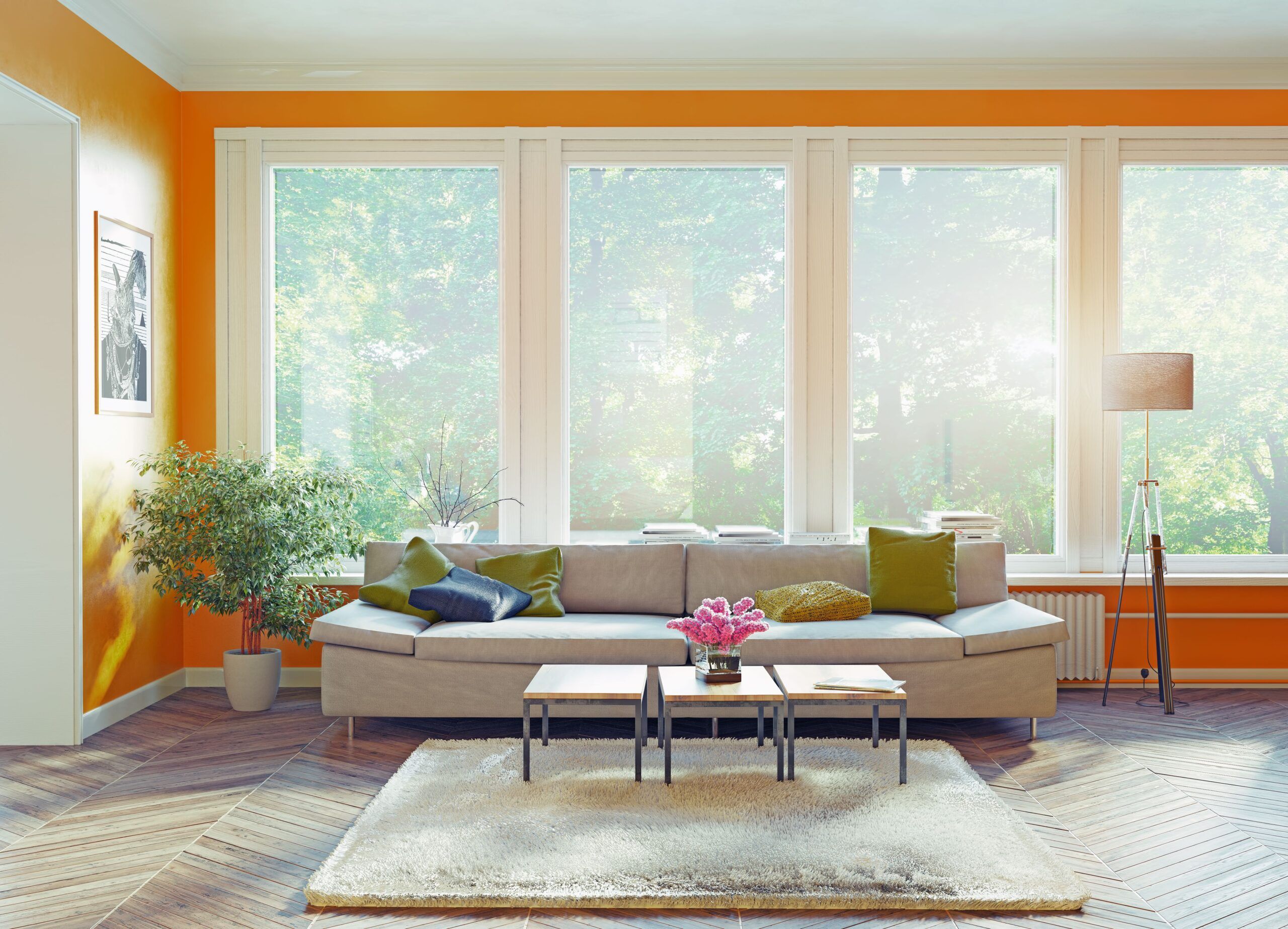 Should You Choose Provia Endure Windows for Your Home?